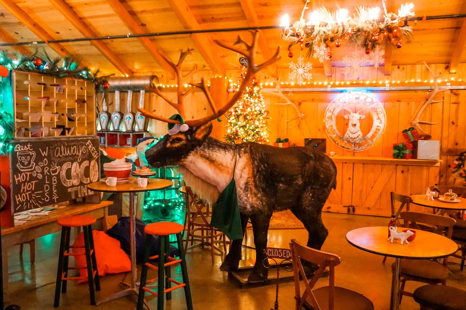 The Ultimate List of Christmas Things to Do in Dallas